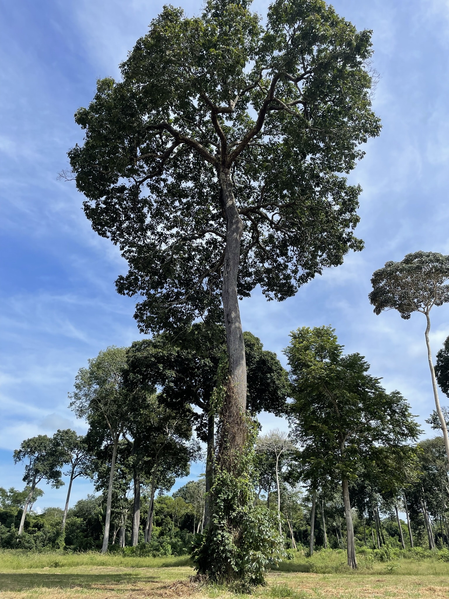 Archief Fair Treat Stories - Monchy Food Company