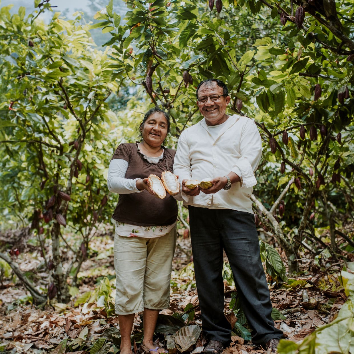 Homepage - Monchy Food Company