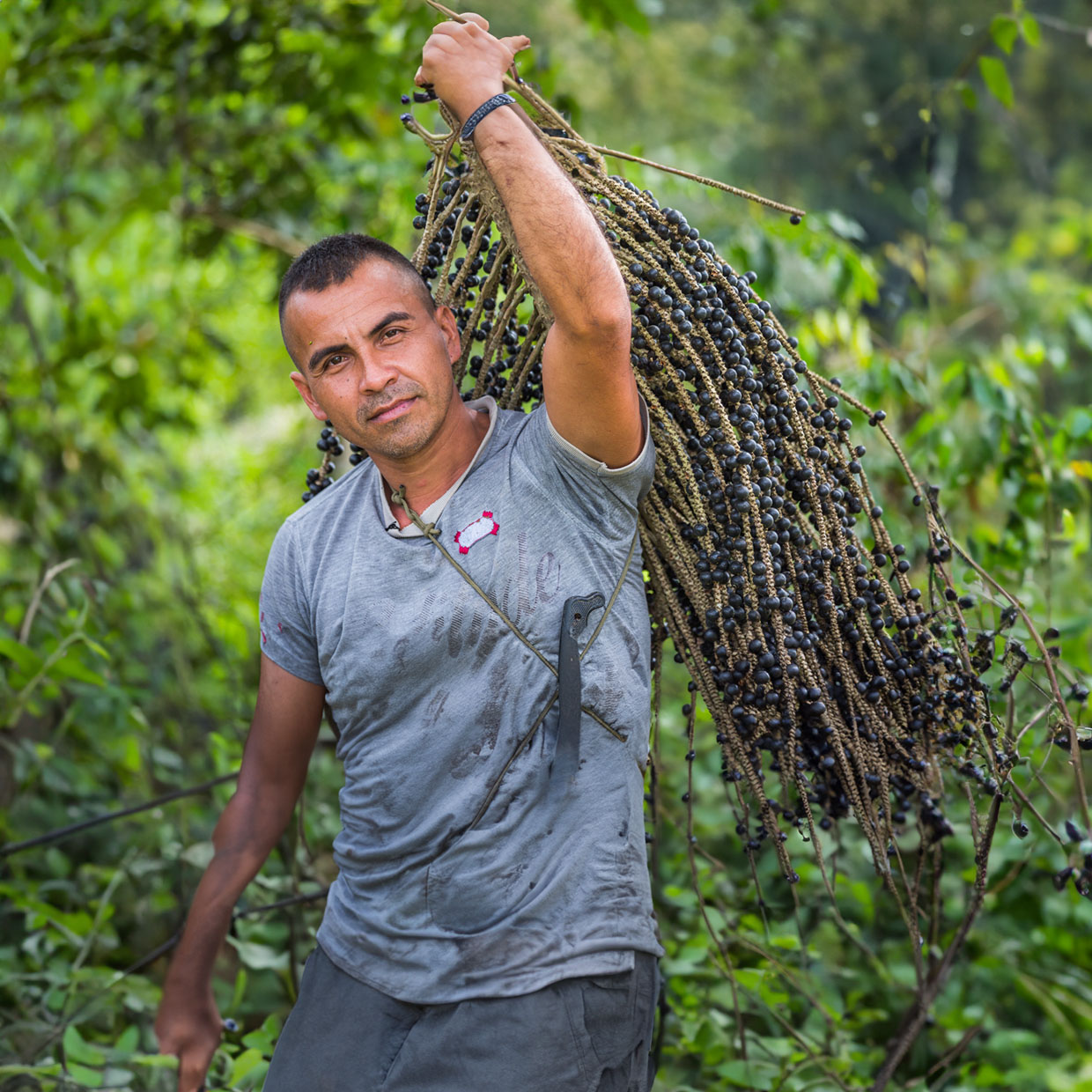 Homepage - Monchy Food Company